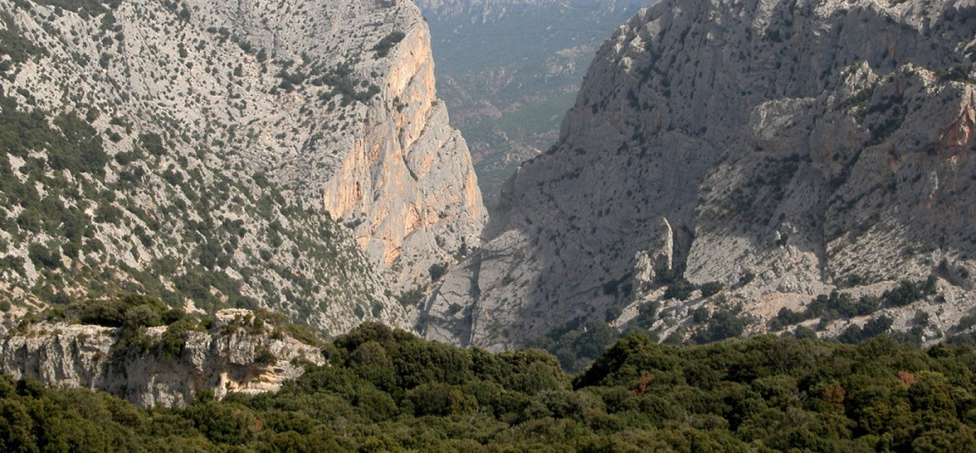 Red Point - Negozio per l'arrampicata e l'escursionismo – RedPoint Outdoor